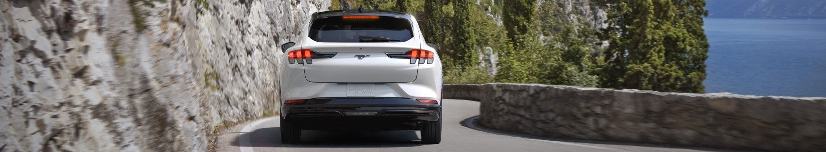 Electric Vehicles Flint MI | LaFontaine Ford Birch Run